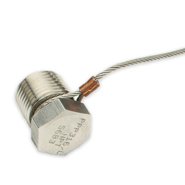 25NPT HEXAGON HEAD PLUG 316 C/W TETHERED LEAD - Prochem