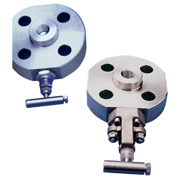 Primary Isolation Valve - Prochem