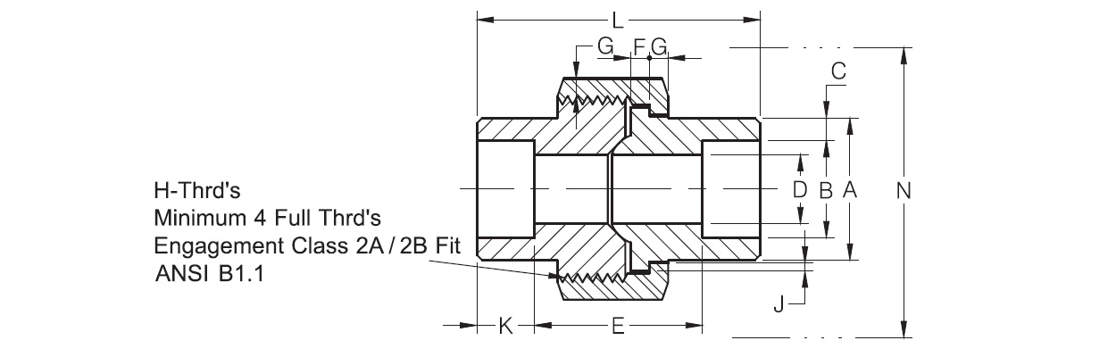 25NB CL3000 SOCKETWELD UNION 316/316L - Prochem